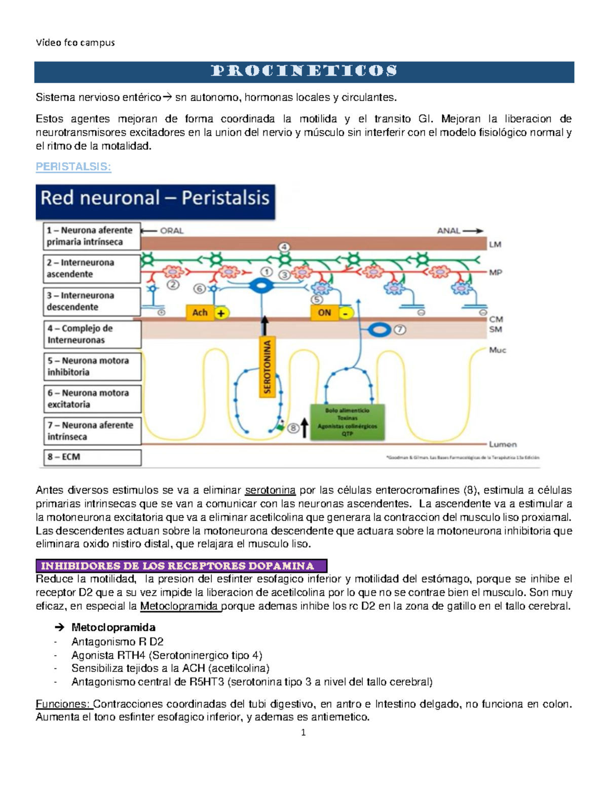 Procineticos - sfsdgrdbdnhnd - Video fco campus 1 PROCINETICOS Sistema ...