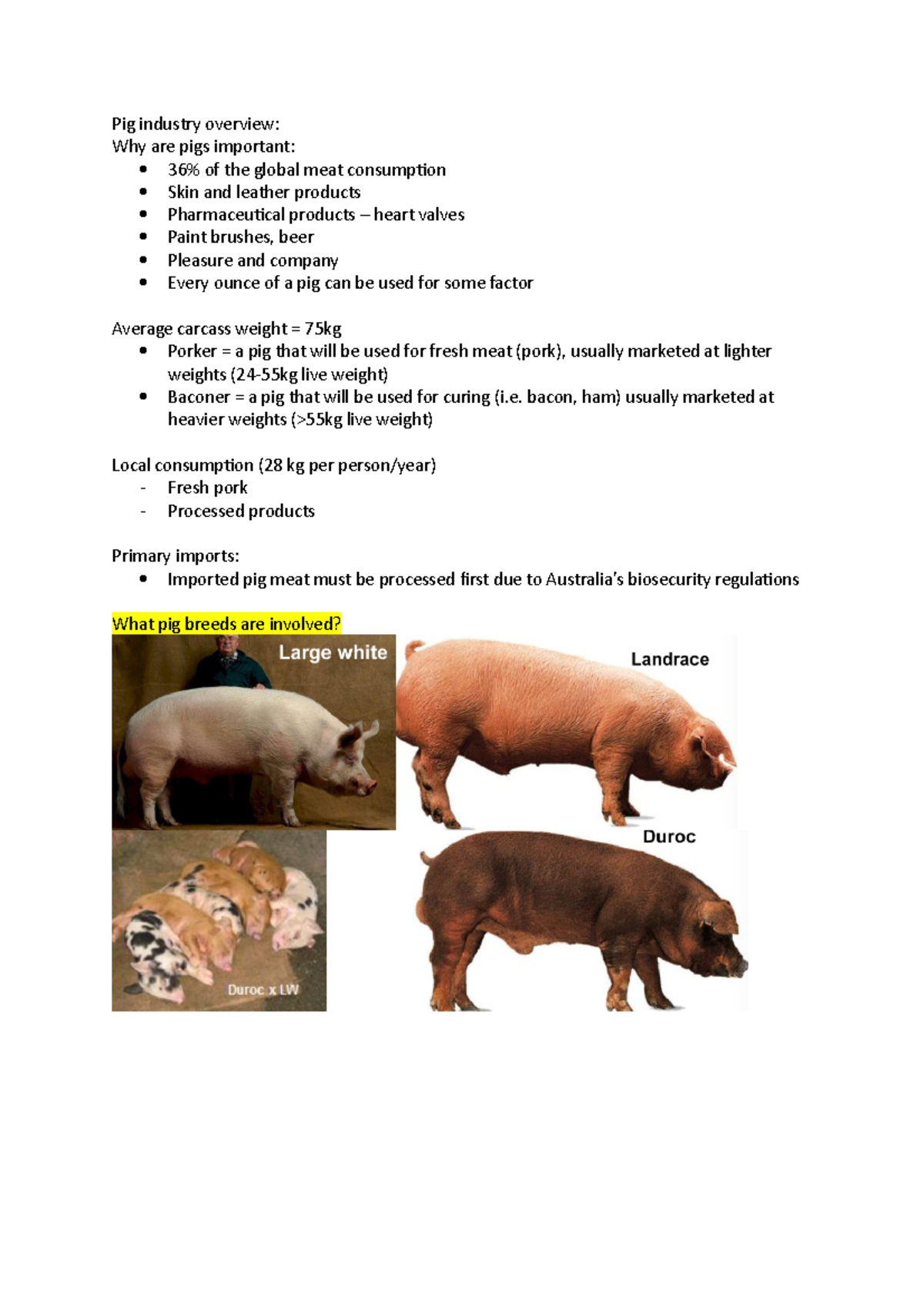 Pig industry overview - Pig industry overview: Why are pigs important ...