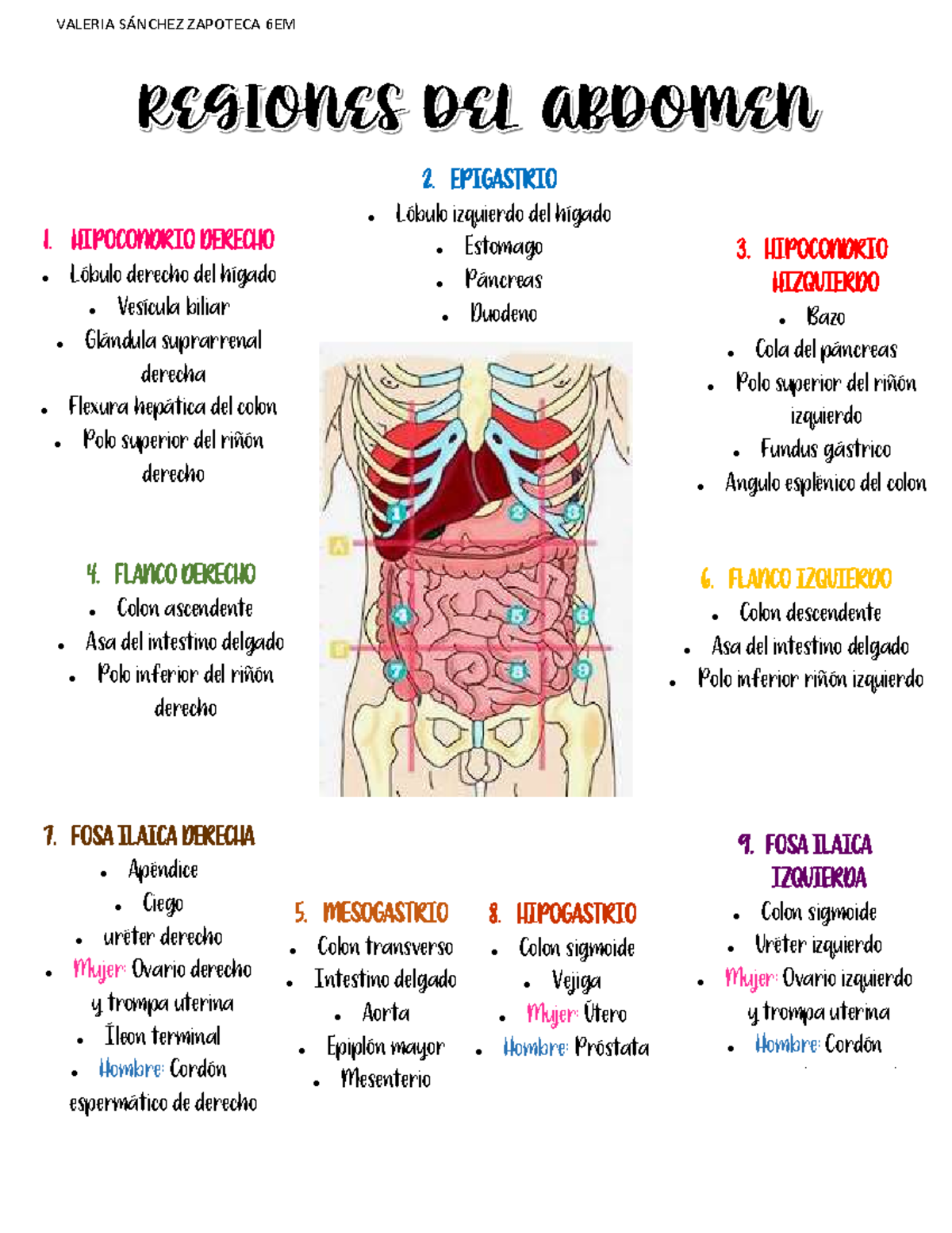 Regiones DEL Abdomen - VALERIA SÁNCHEZ ZAPOTECA 6EM 1. HIPOCONDRIO ...