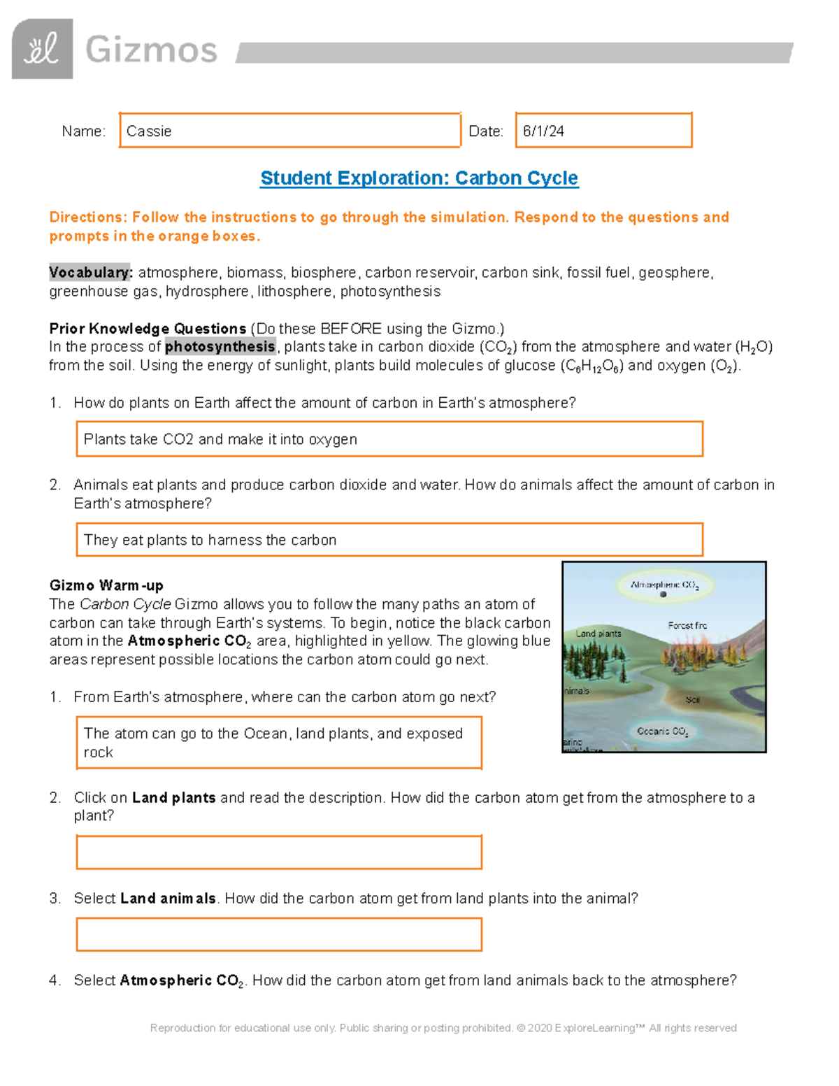 Cassandra Bellafiore ( Student) - Carbon Cycle Gizmo - Name: Cassie ...
