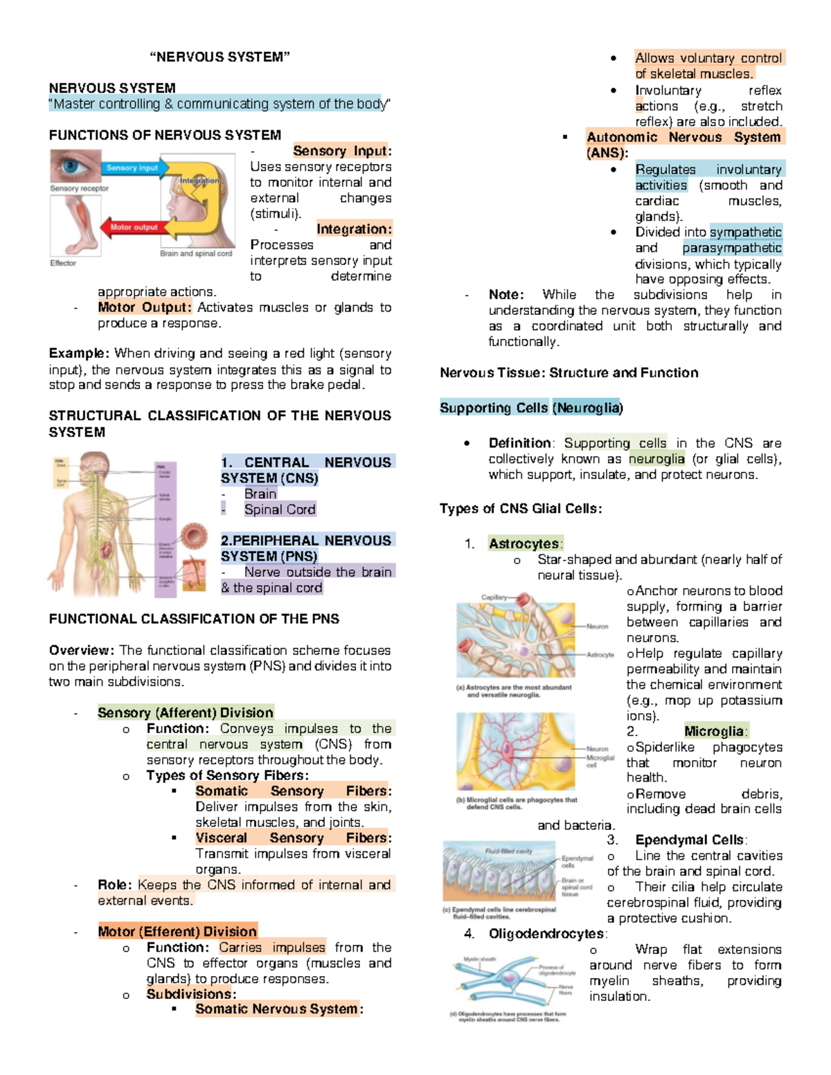 Nervous- System- Notes - “NERVOUS SYSTEM” NERVOUS SYSTEM “Master ...