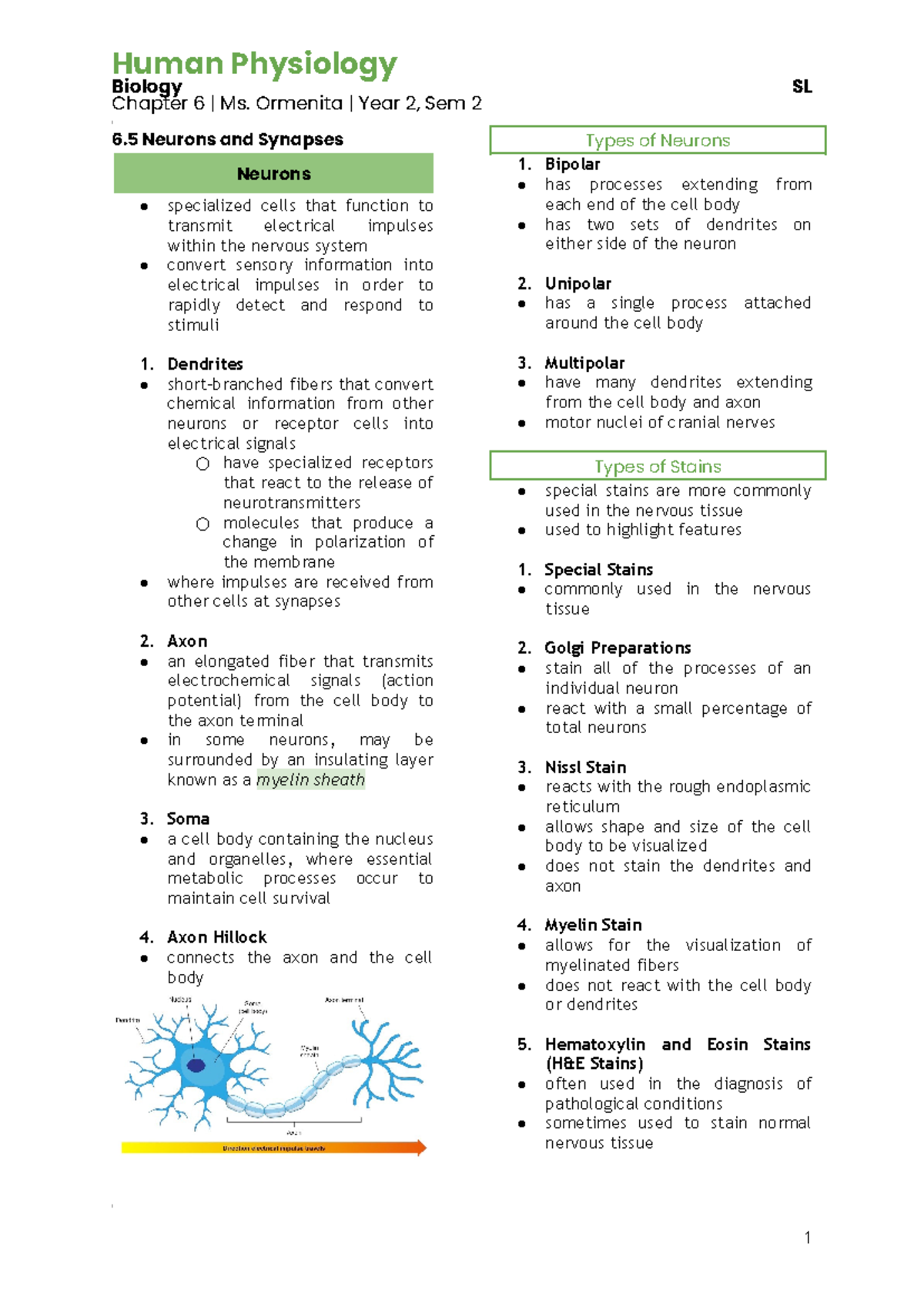 6 - Human Physiology - Biology SL Chapter 6 | Ms. Ormenita | Year 2 ...