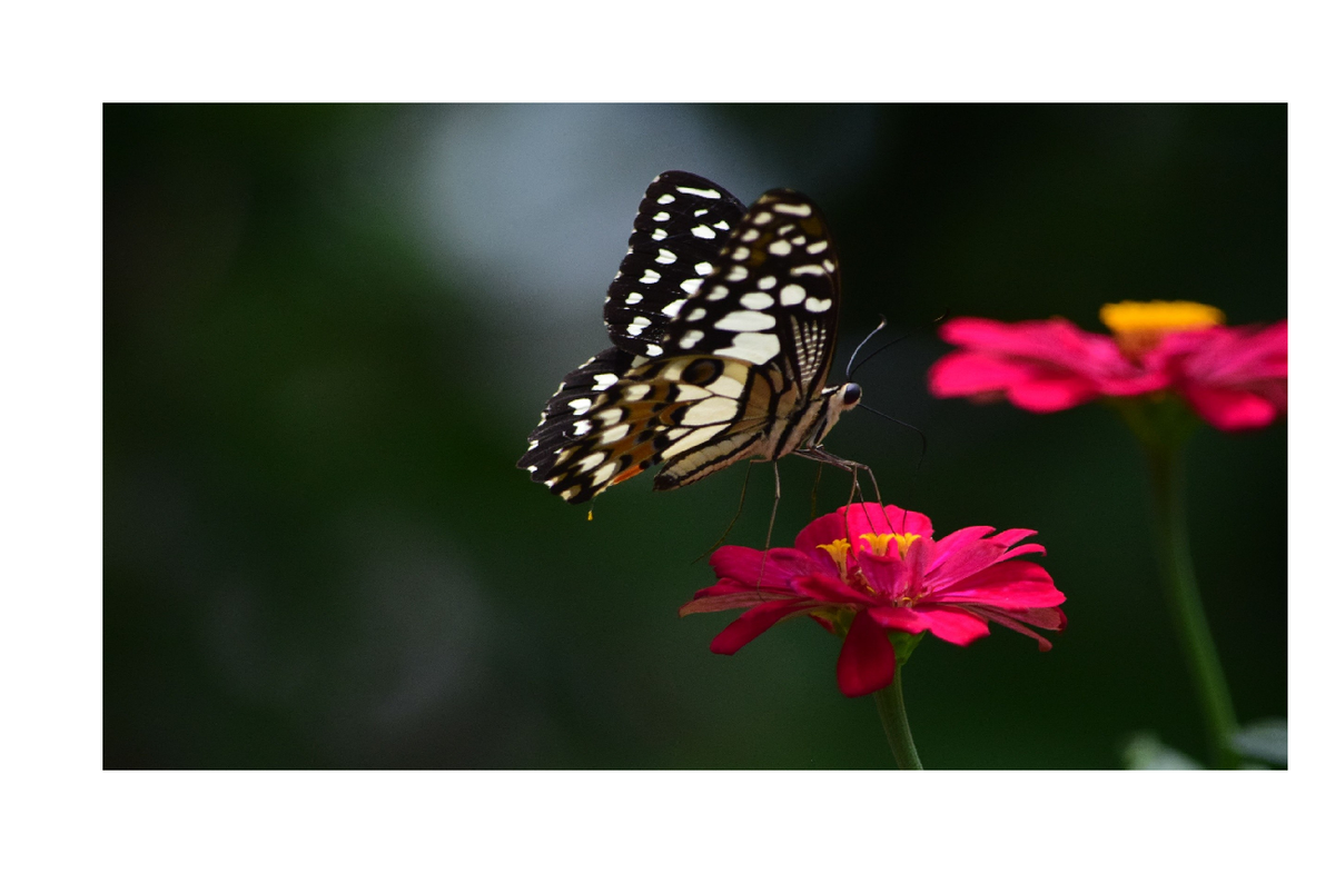 SCIENCE QUARTER 3 LESSON 1 - General Biology - Studocu