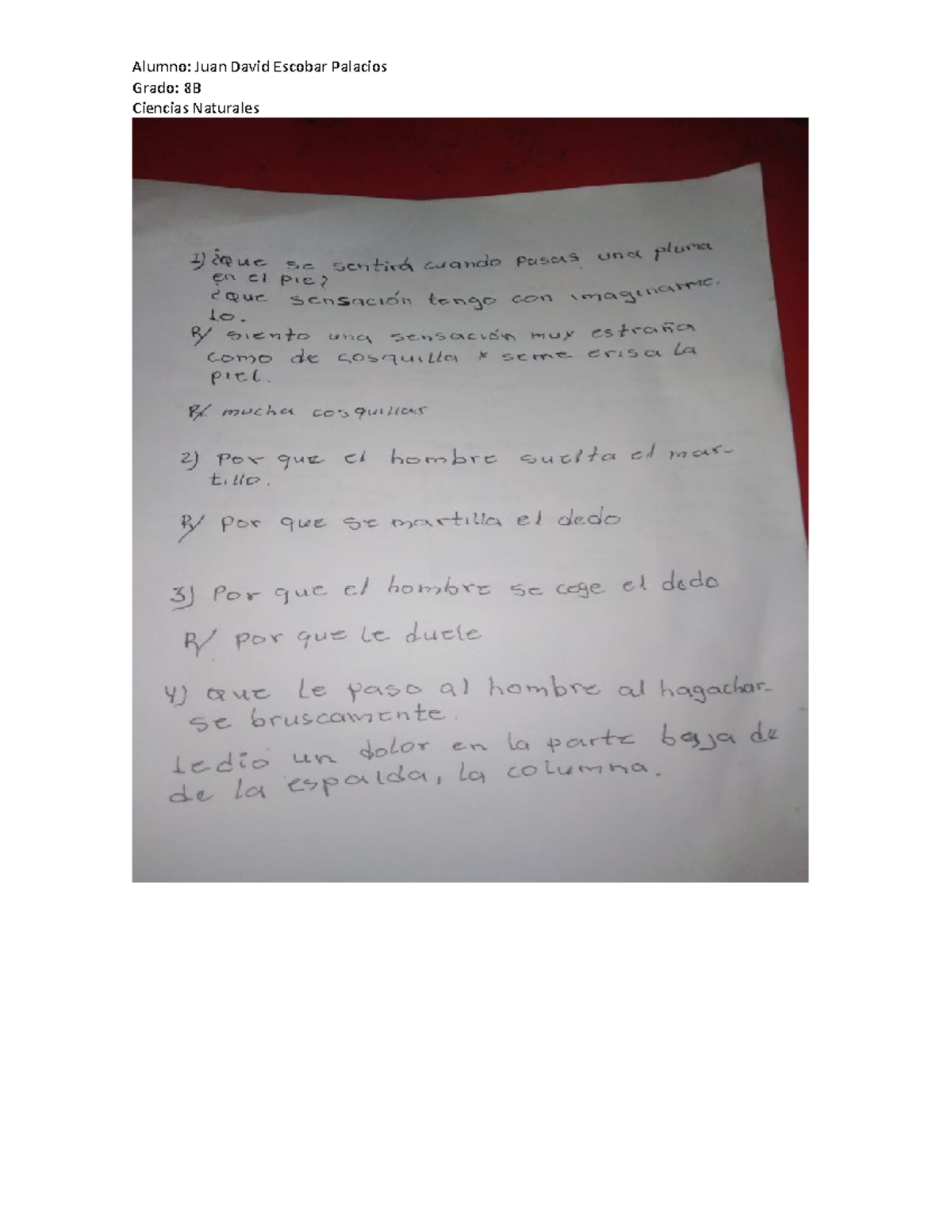 ciencias naturales animales vertebrados informe - Uniminuto - Studocu