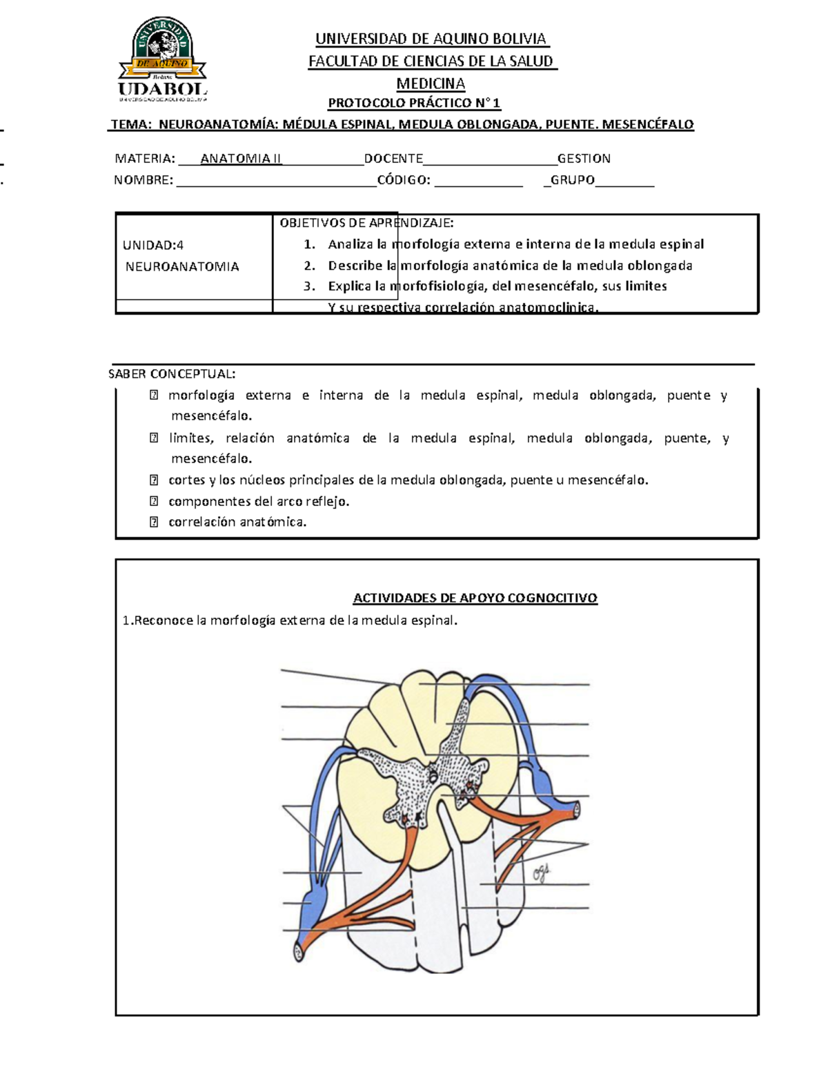 Anatomia II Protocolo N° 1 - UNIVERSIDAD DE AQUINO BOLIVIA FACULTAD DE ...