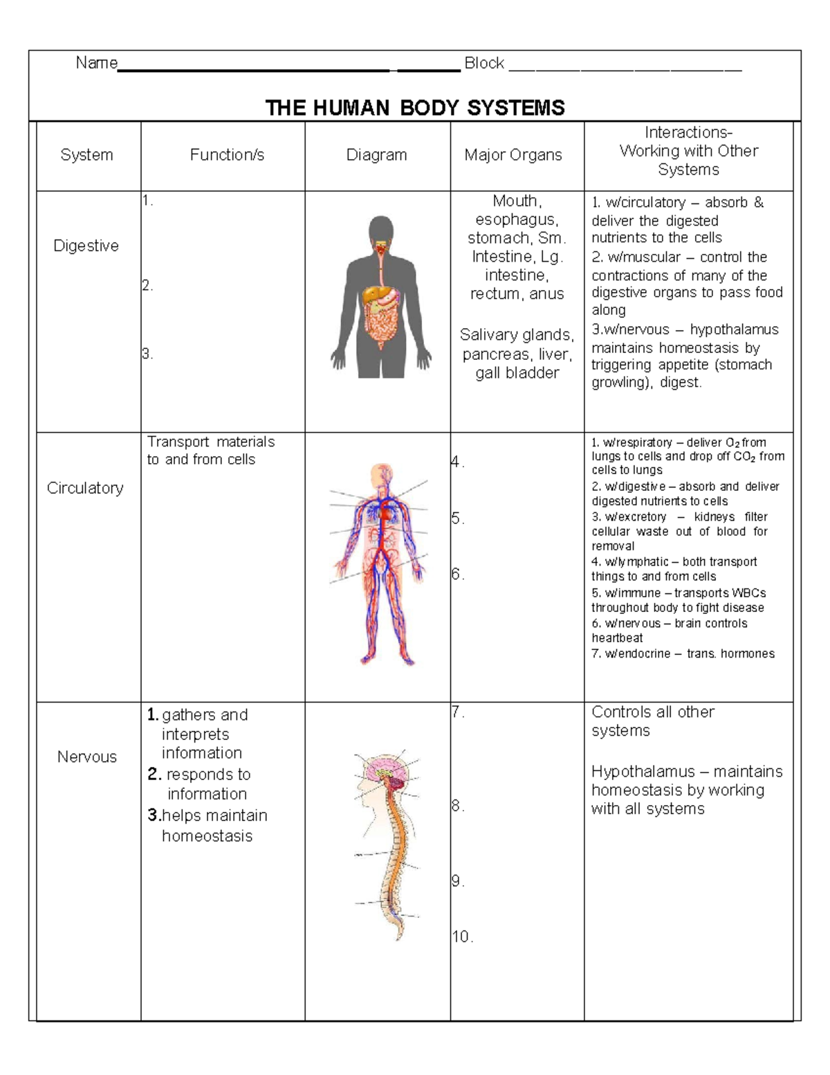 FLab Organ Systems - Name _ Block __________________________ THE HUMAN ...
