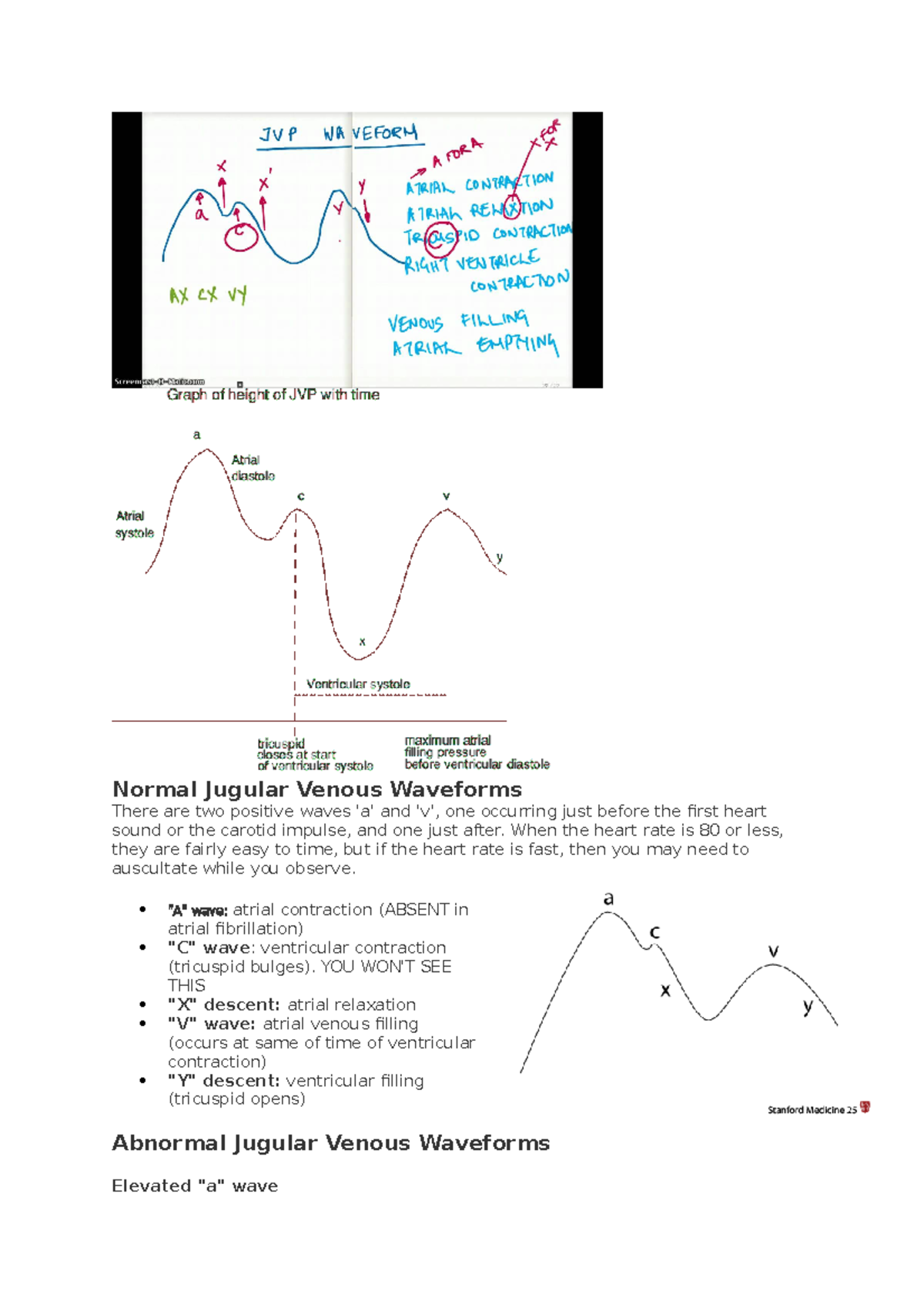 Normal Jugular Venous Waveforms - When the heart rate is 80 or less ...