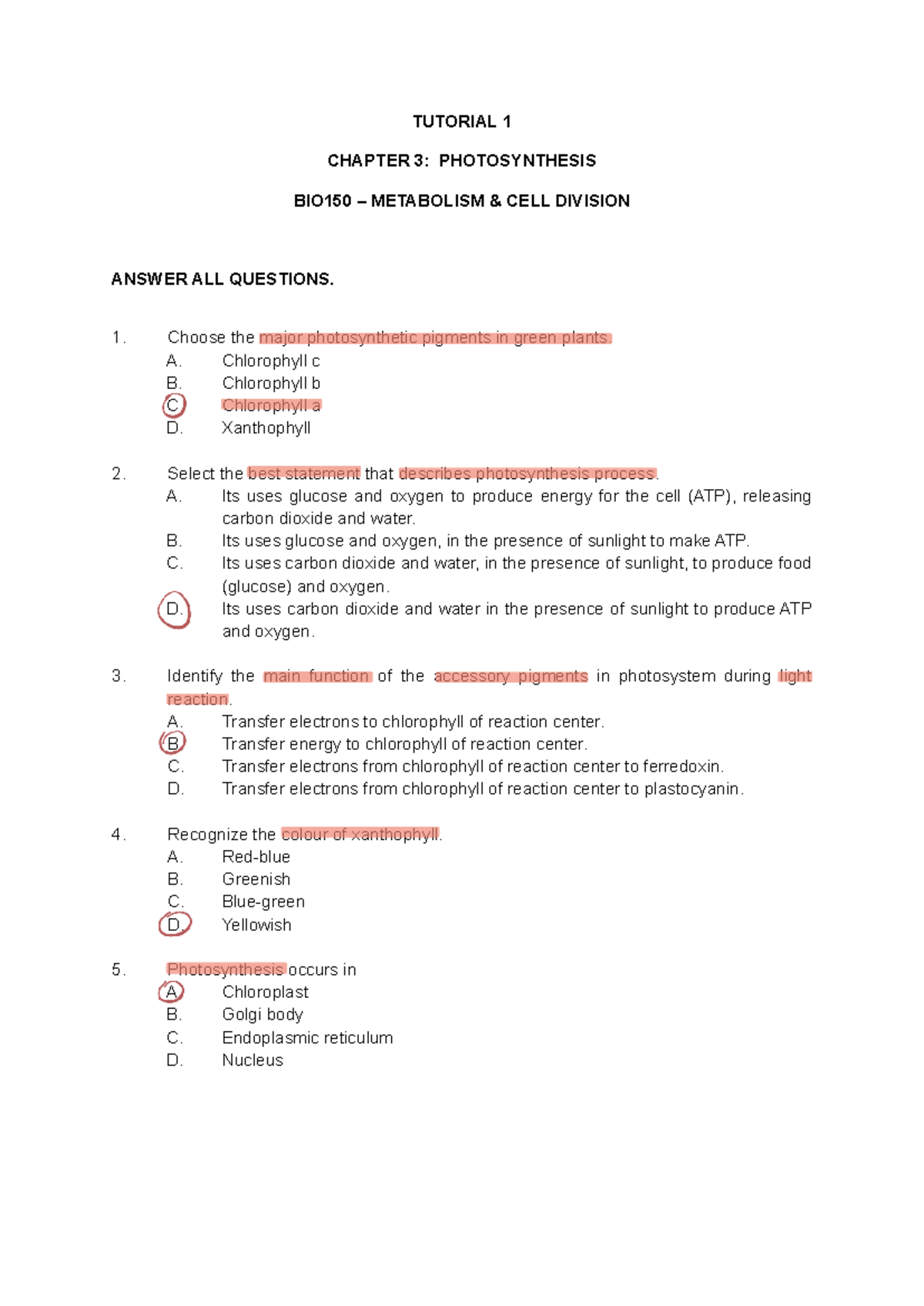 Chapter 3 Tutorial 1 - TUTORIAL 1 CHAPTER 3 : PHOTOSYNTHESIS BIO150 ...