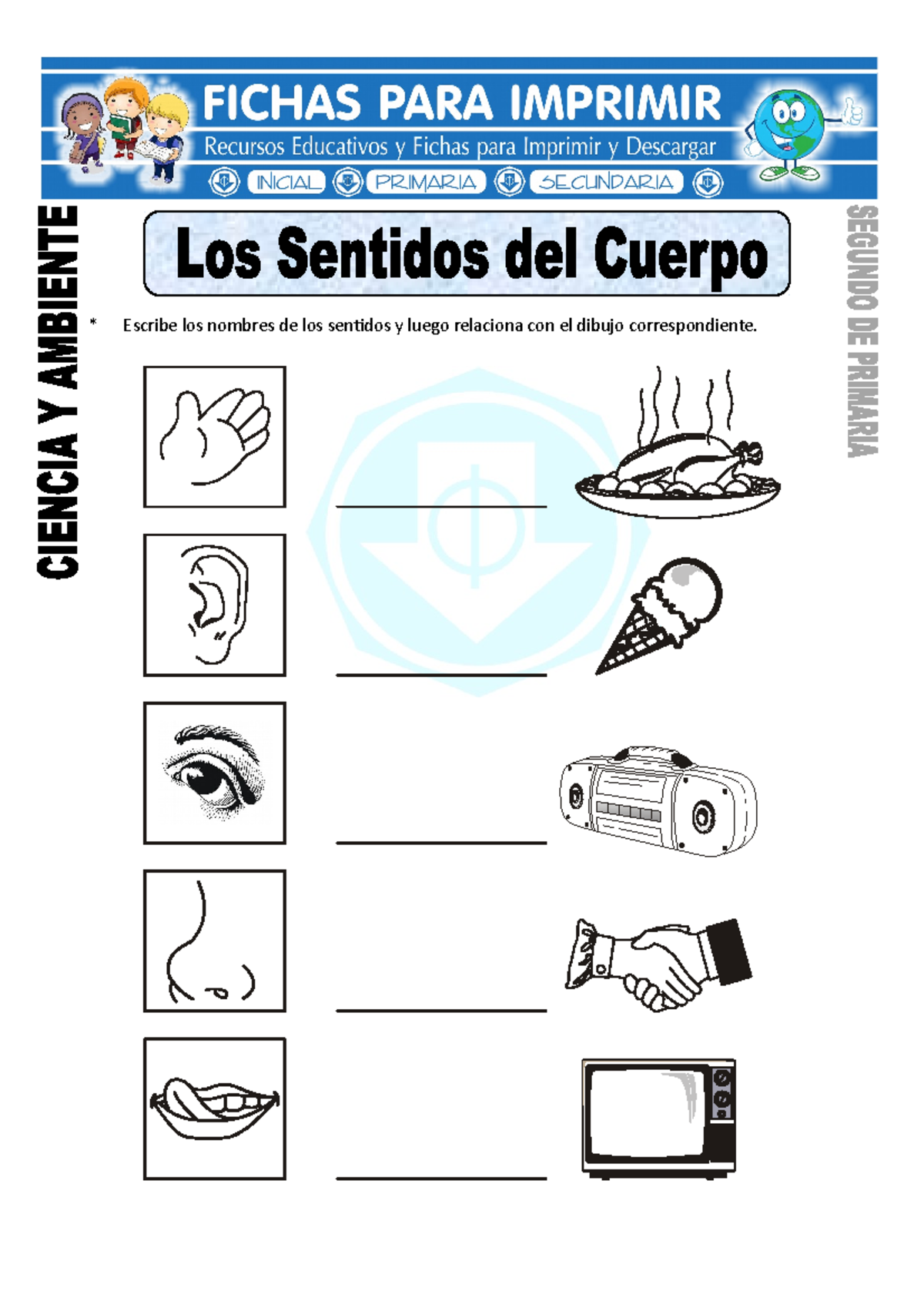 Ficha de Los Sentidos del Cuerpo para Segundo - Escribe los nombres de ...