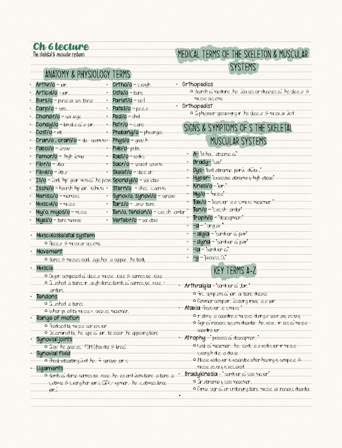 Chapter Notes 5 - Ch 6 lecture The skeletal & muscular systems Anatomy ...