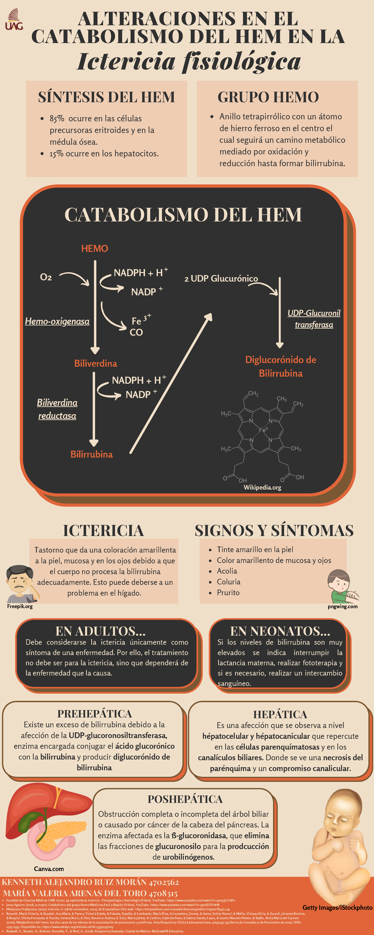 IE2Arenas Del Toro - iNFOGRAFÍA DEL GRUPO HEMO - Hemo-oxigenasa O2 ...