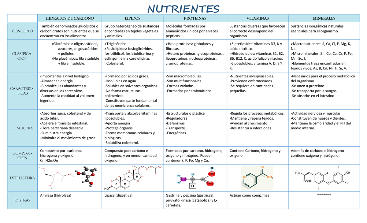 Cuadro comparativo de nutrientes - HIDRATOS DE CARBONO LIPIDOS ...