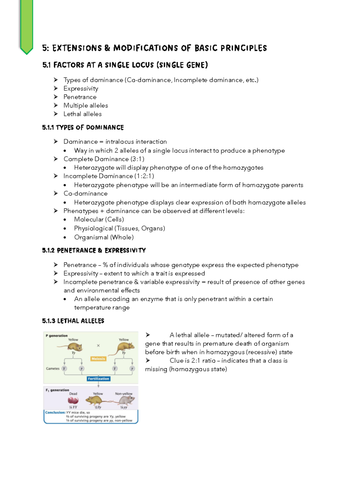Genetics Theme 4 (Chapter 5) - 5: EXTENSIONS & MODIFICATIONS OF BASIC PRINCIPLES 5 FACTORS AT A ...
