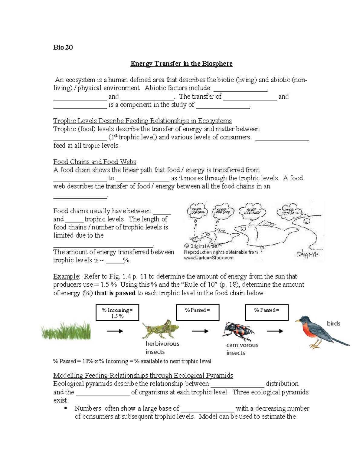 Chpt1.2 Energy Transfer in Biosphere - Bio 20 Energy Transfer in the ...