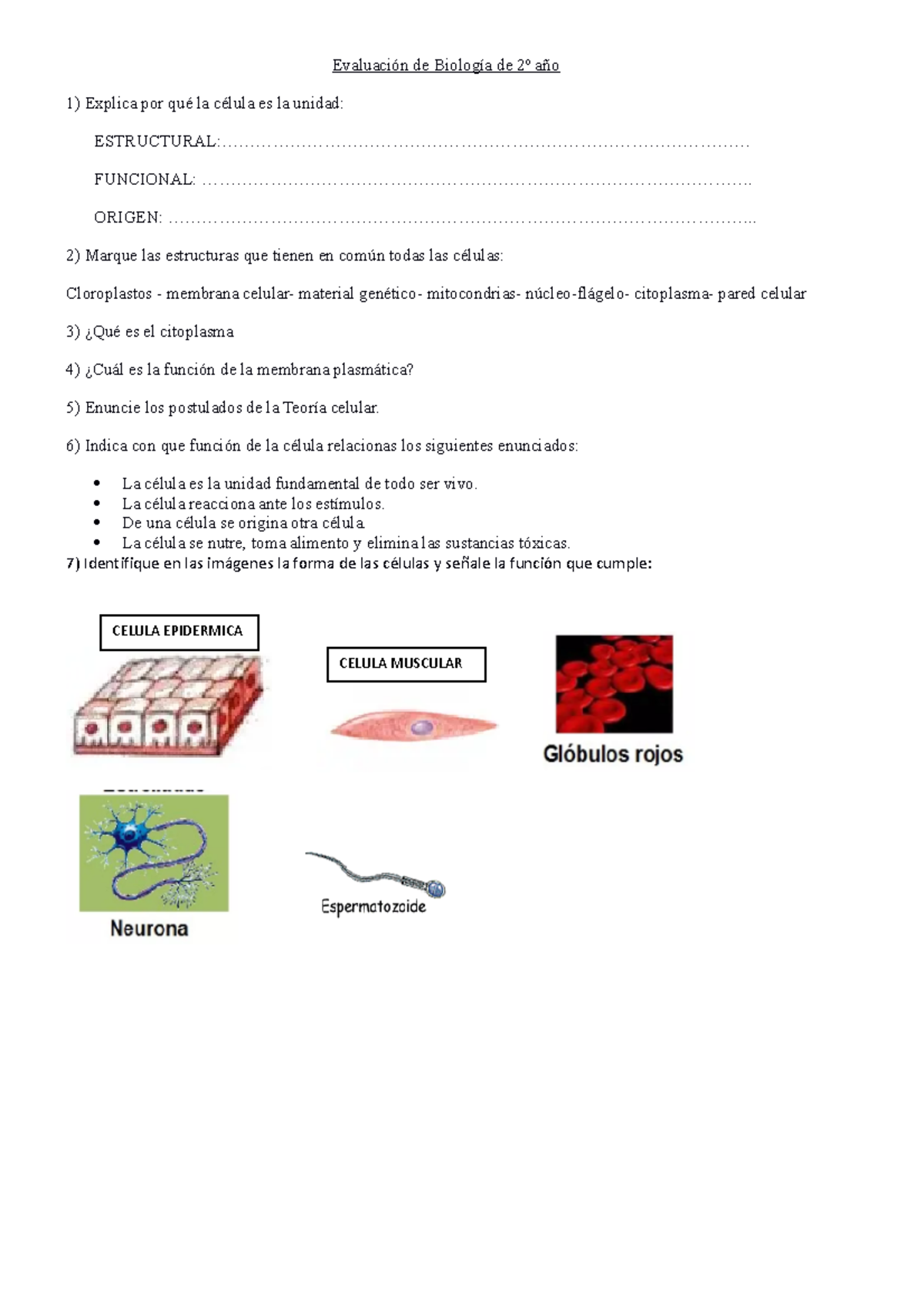 Eval. Célula - Evaluación de Biología de 2º año Explica por qué la ...