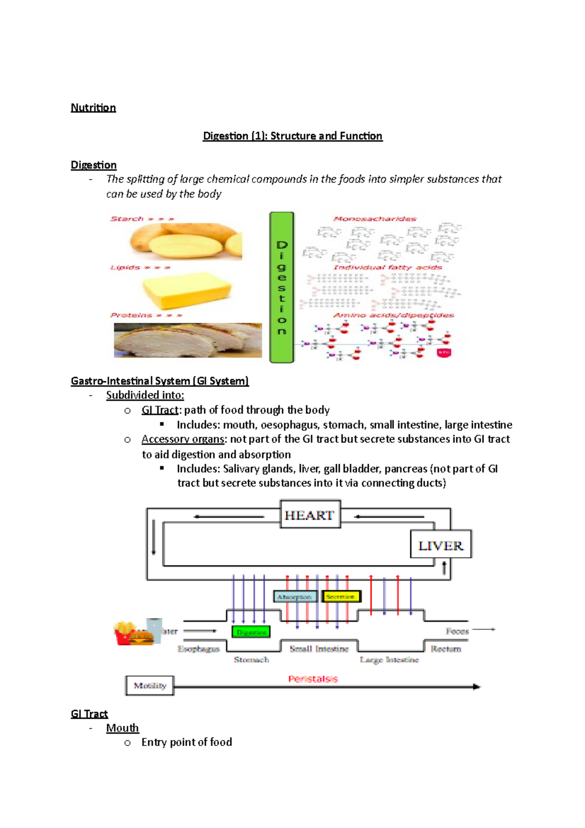 Nutrition - Lecture 12 - Digestion (1) - Nutrition Digestion (1 ...