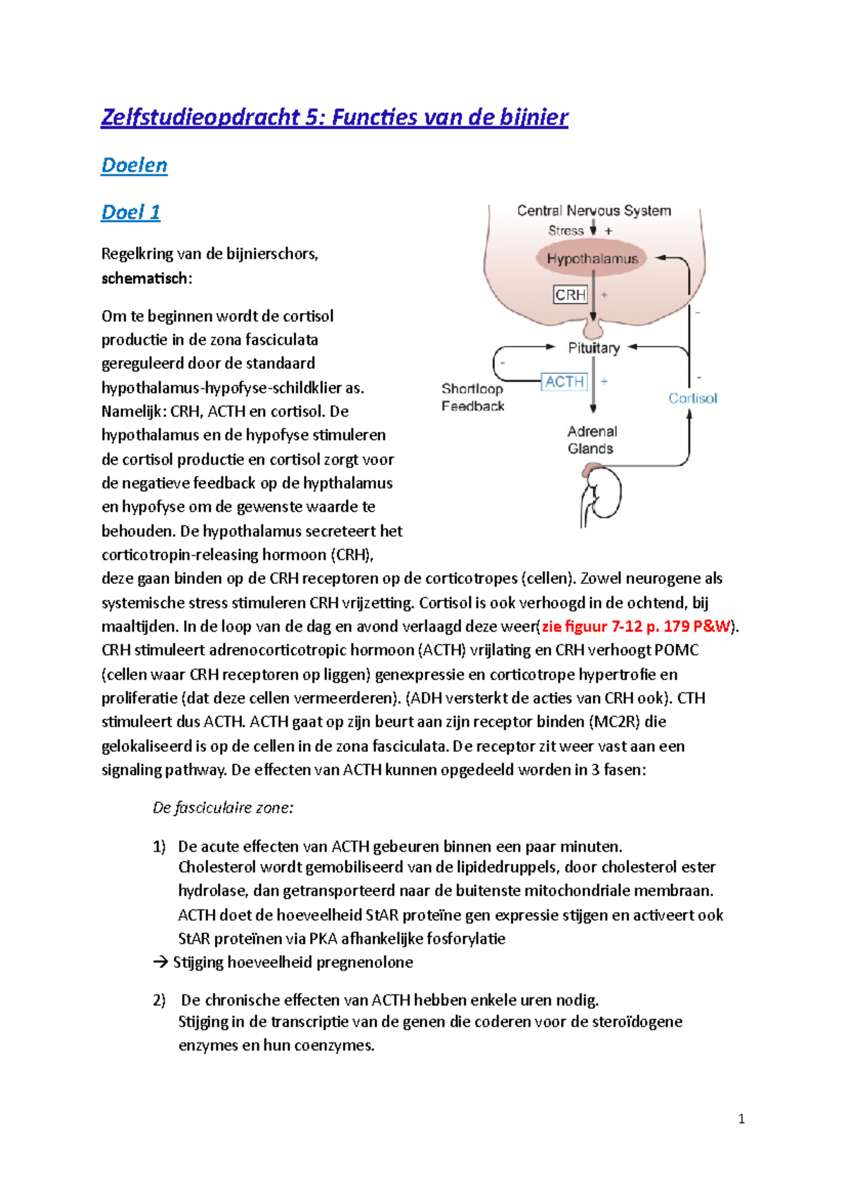 Zelfstudieopdracht 5 werking van de bijnier - Zelfstudieopdracht 5 ...