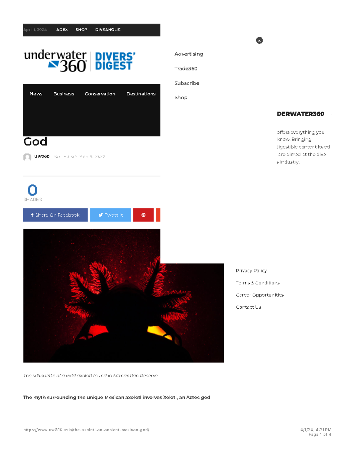 The Axolotl- An Ancient Mexican God - Underwater 360 - The platform ...