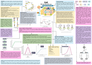 Unit 11 assignment - The Human Muscular and Skeletal Systems ...