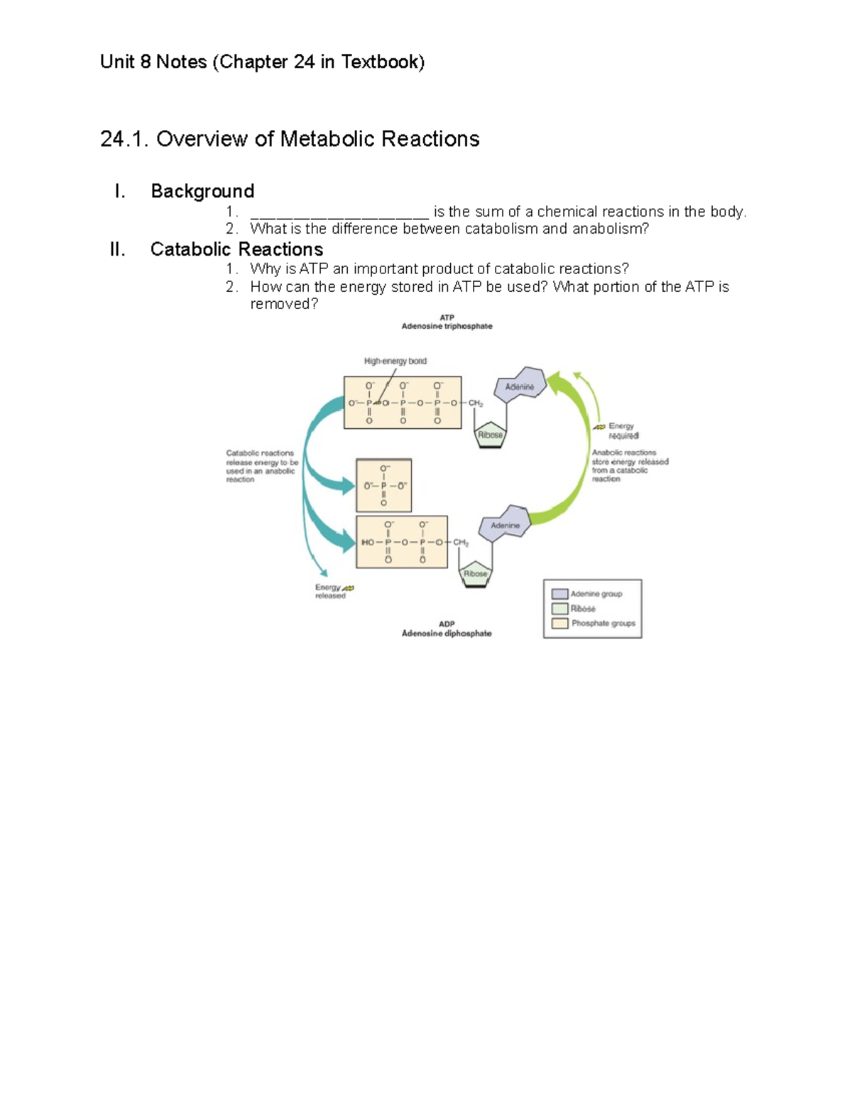 BIO 1300 Unit 8 Notes - 24. Overview of Metabolic Reactions I ...