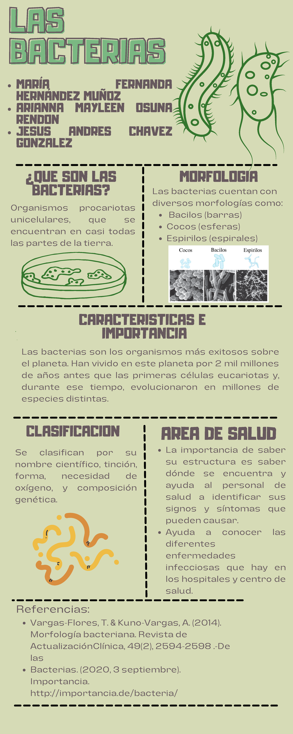 A3Infografia - 10/10 - Bacilos (barras) Cocos (esferas) Espirilos ...