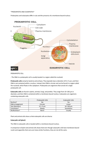 Tocantins method dilent, action of diluent, manner of counting and ...