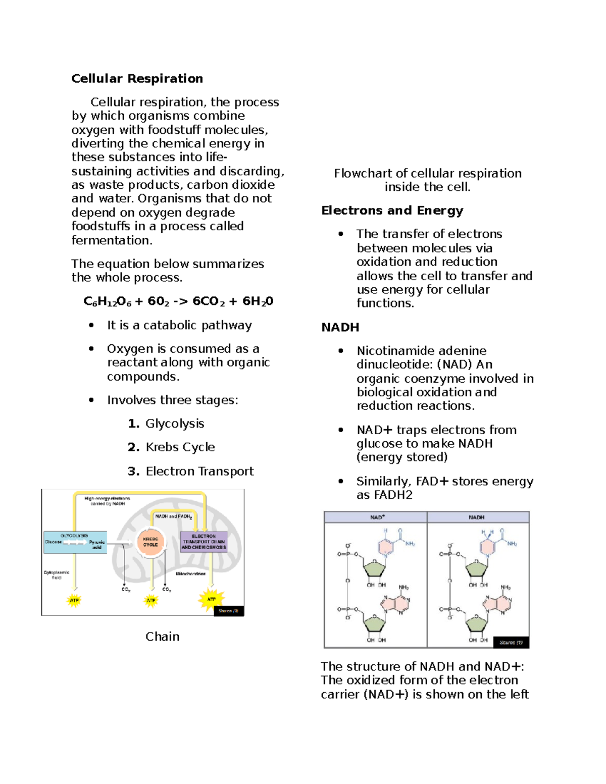 Cellular Respiration - Cellular Respiration Cellular respiration, the ...
