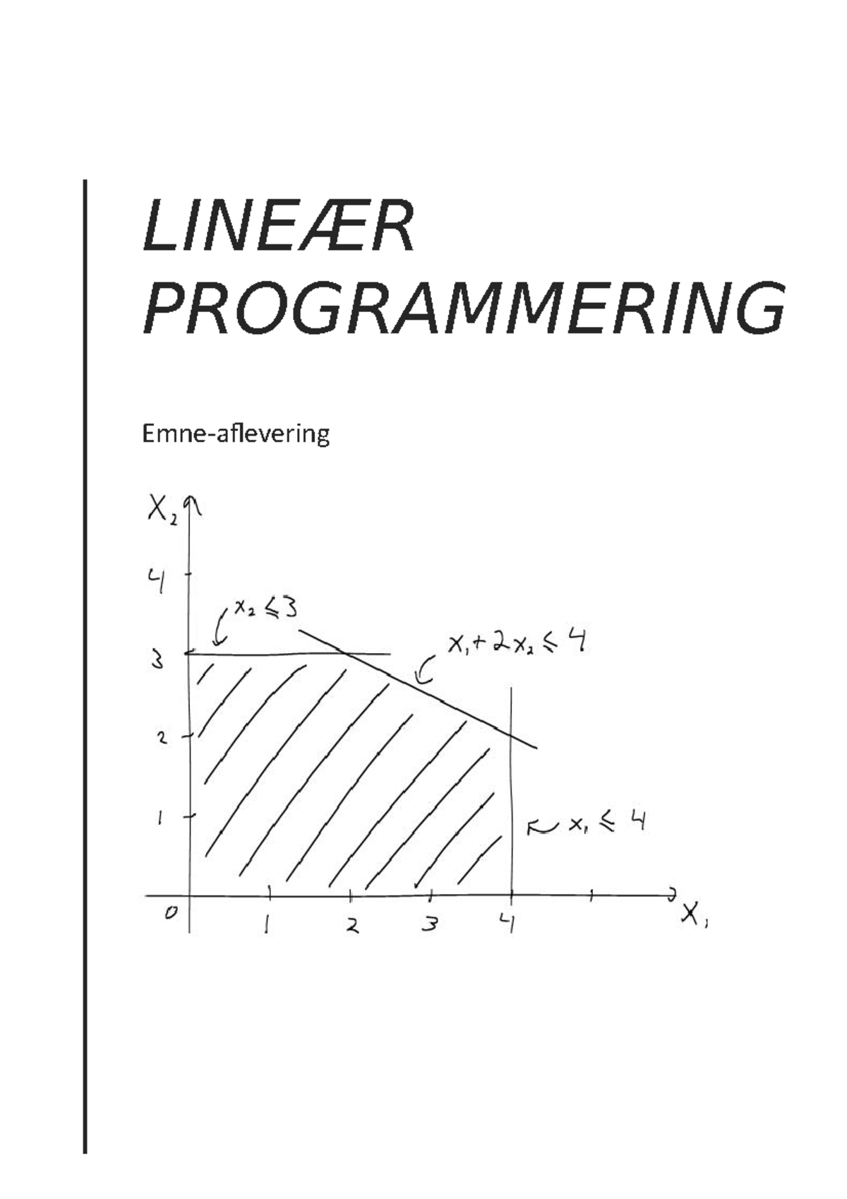 Emneaflevering Lineær programmering - LINEÆR PROGRAMMERING Emne ...