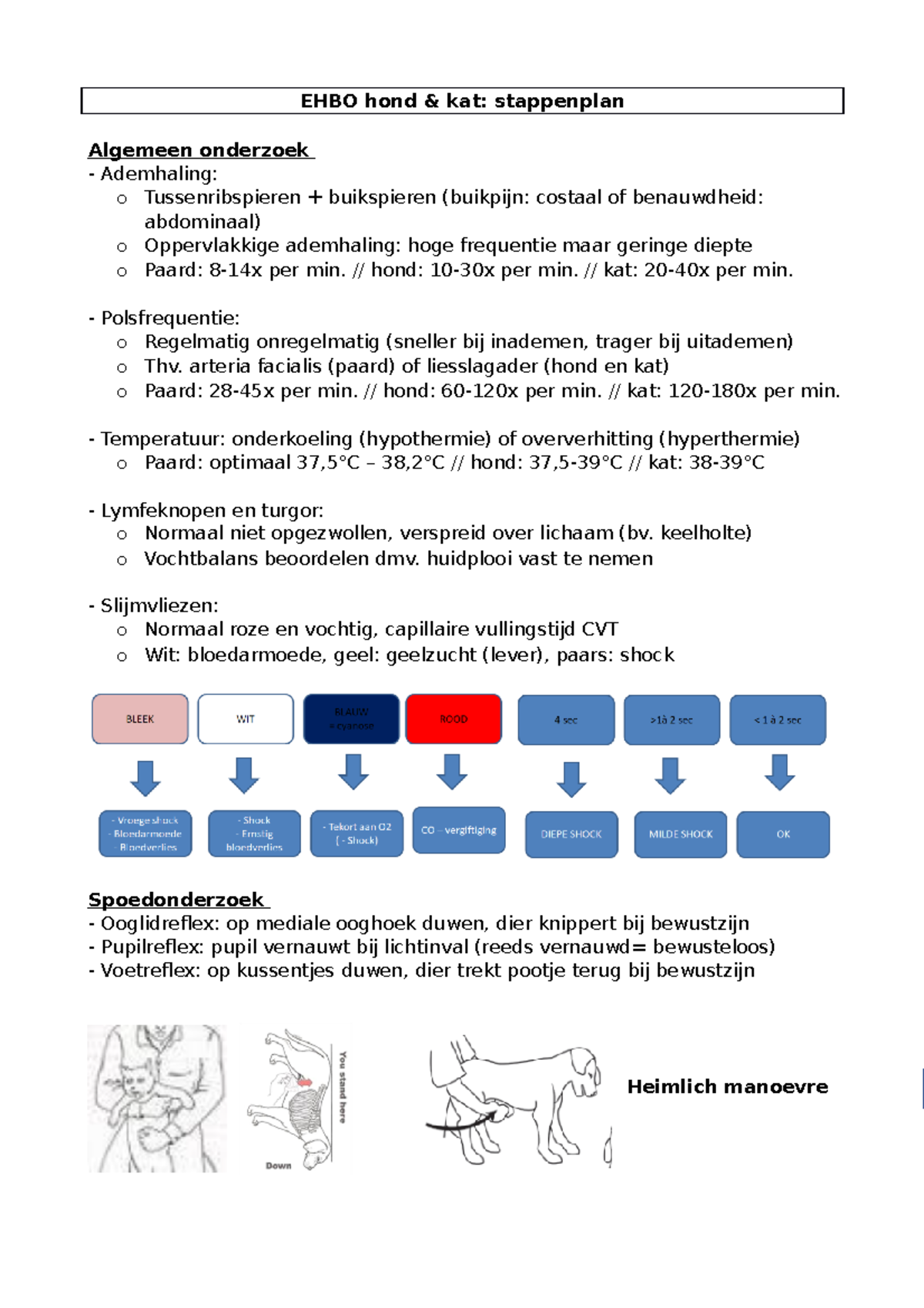 EHBO hond en kat - Belangrijkste info van basisverzorging hond en kat - EHBO hond & kat: - Studocu