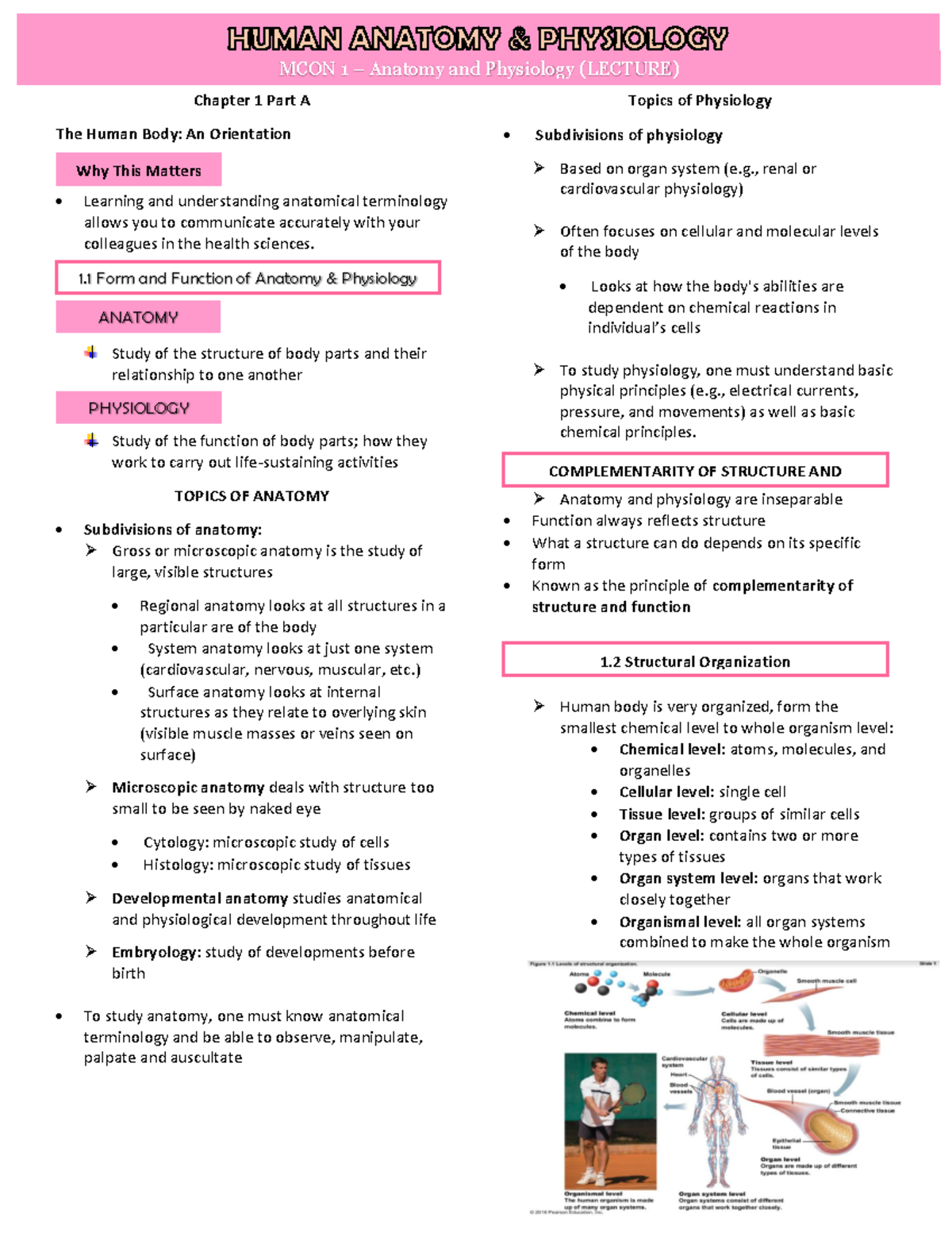 Anaphy Lec Chap1-5 - This transes is all about the human anatomy and ...