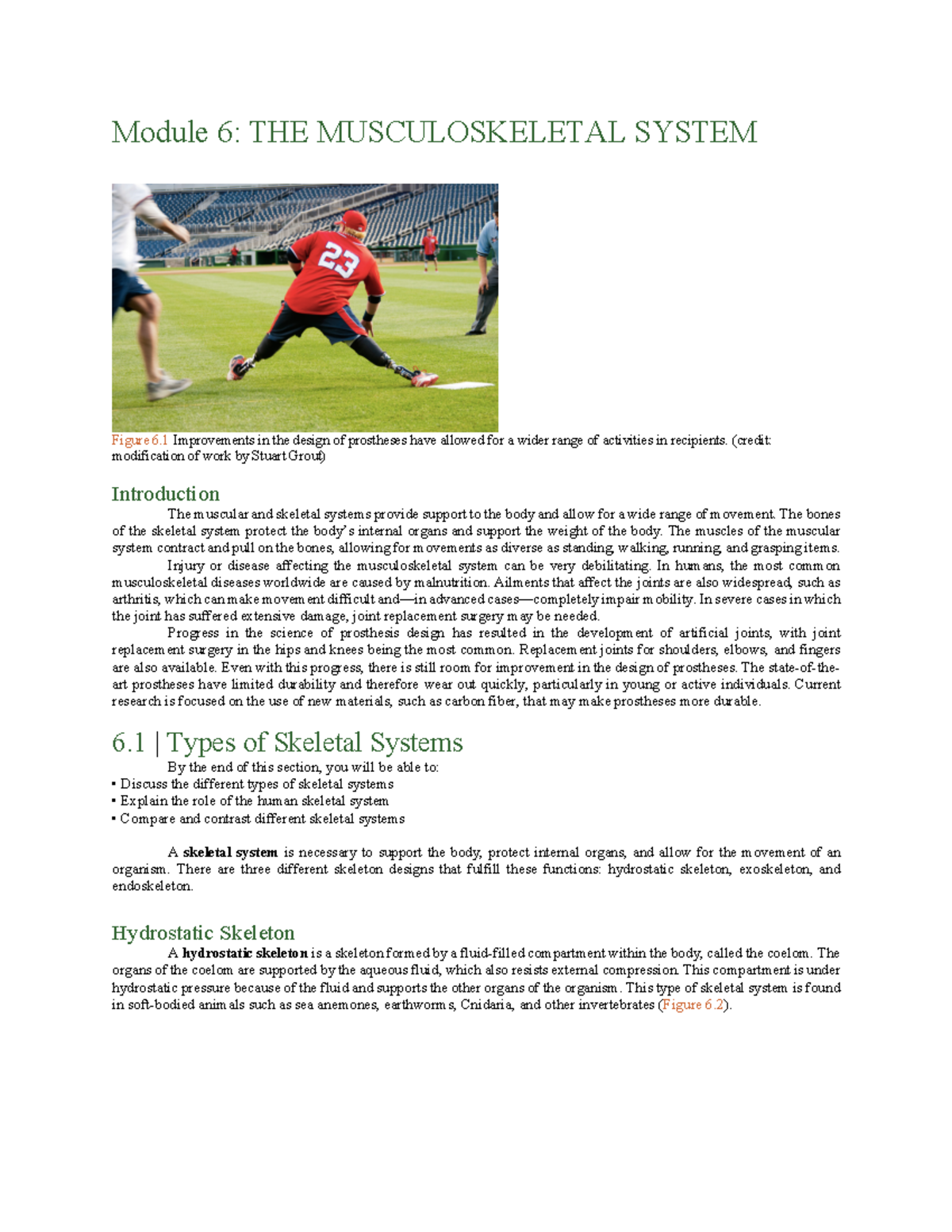 Module 6 - The Musculo-Skeletal System - Module 6: THE MUSCULOSKELETAL ...