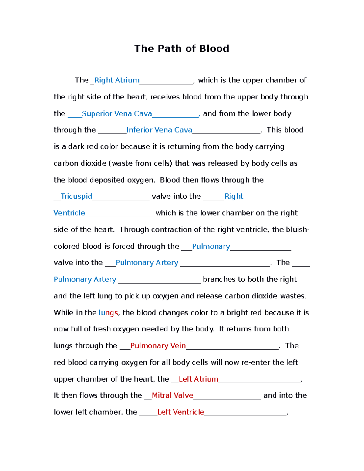 The Path of Blood Color Coded Answer Key - The Path of Blood The Right ...