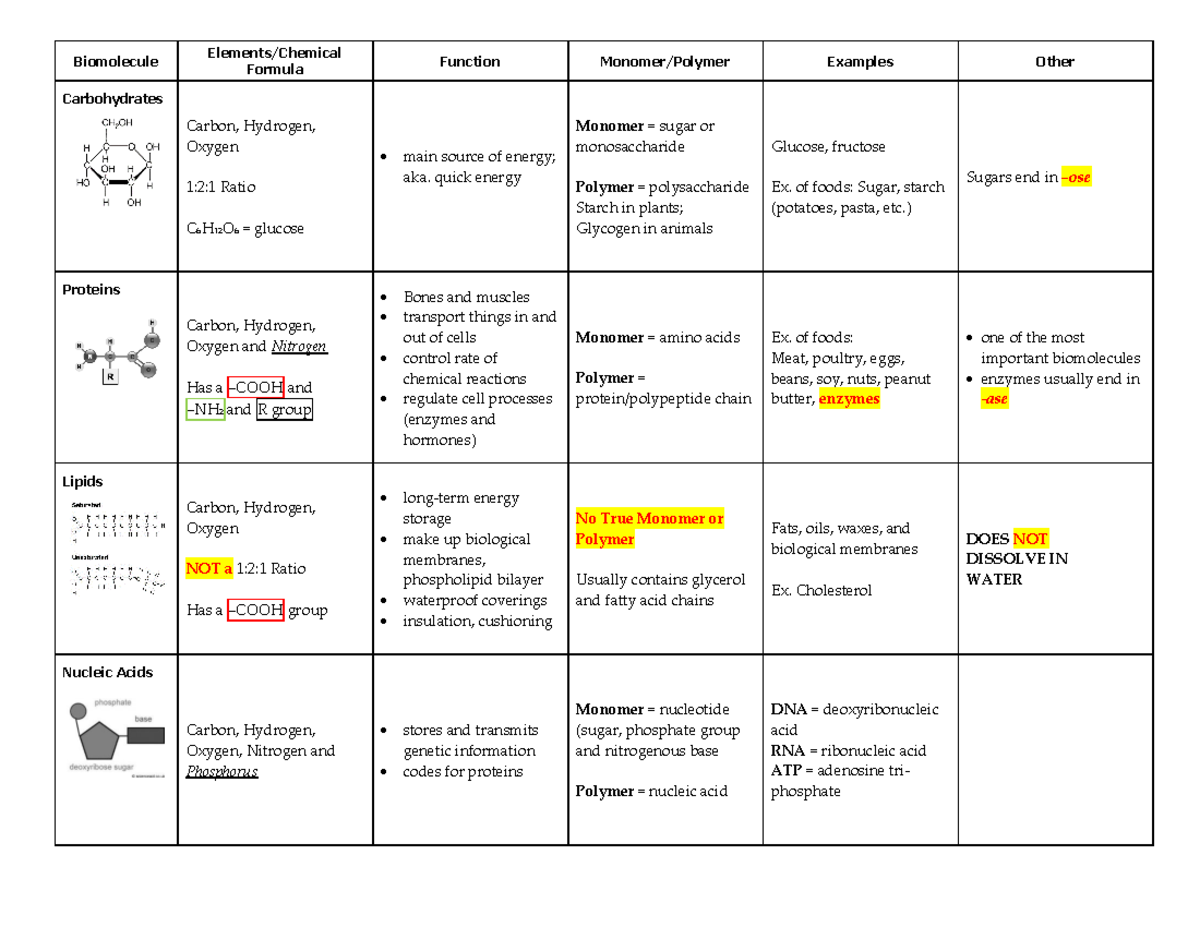 1 Biomolecules Chart 2017 KEY Biomolecule Elements ChemicalFormula