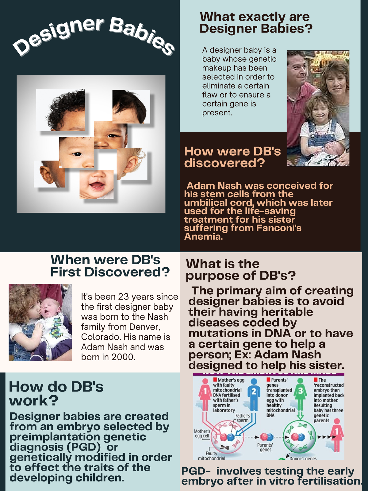 Designer Babies - answer - PGD- involves testing the early embryo after ...
