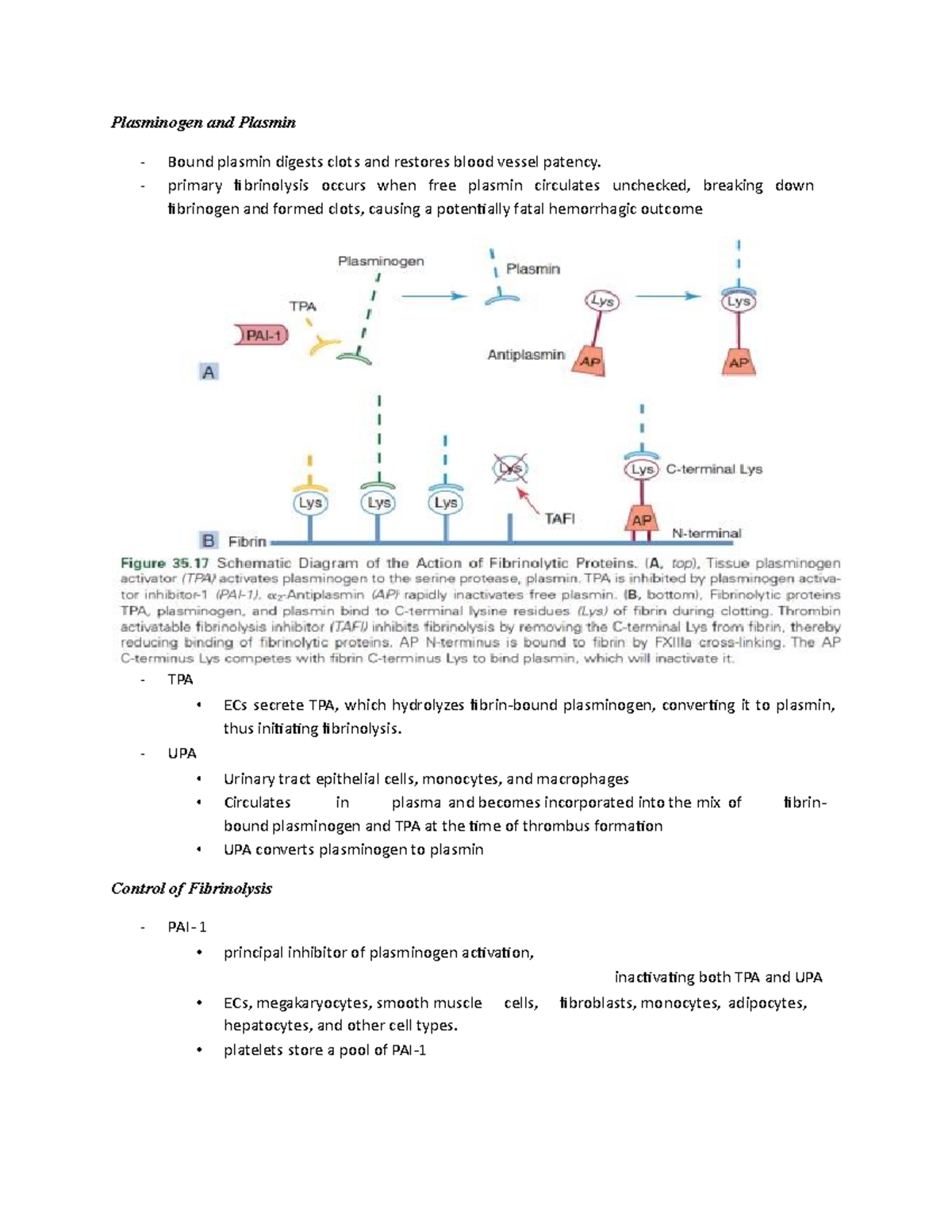 Plasminogen and Plasmin - Plasminogen and Plasmin Bound plasmin digests ...