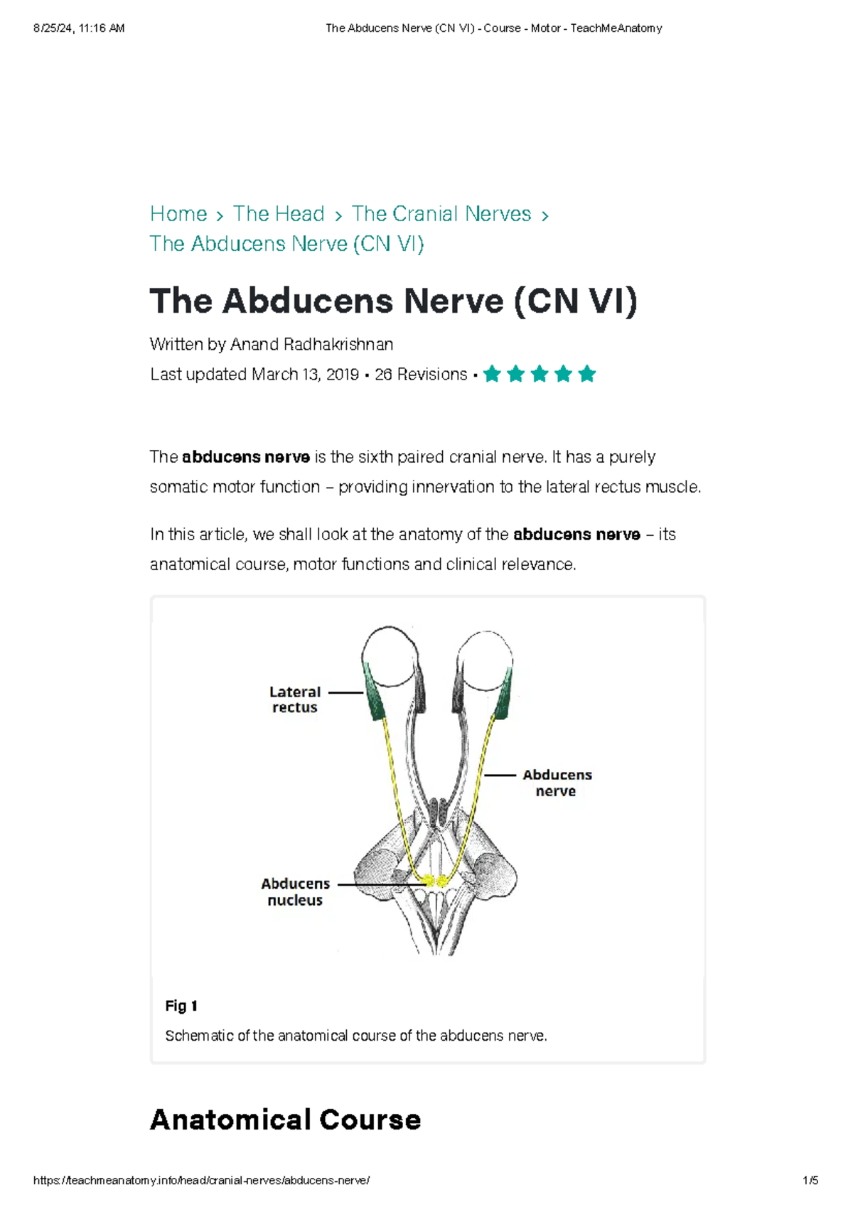 The Abducens Nerve (CN VI) - Course - Motor - Teach Me Anatomy - The ...
