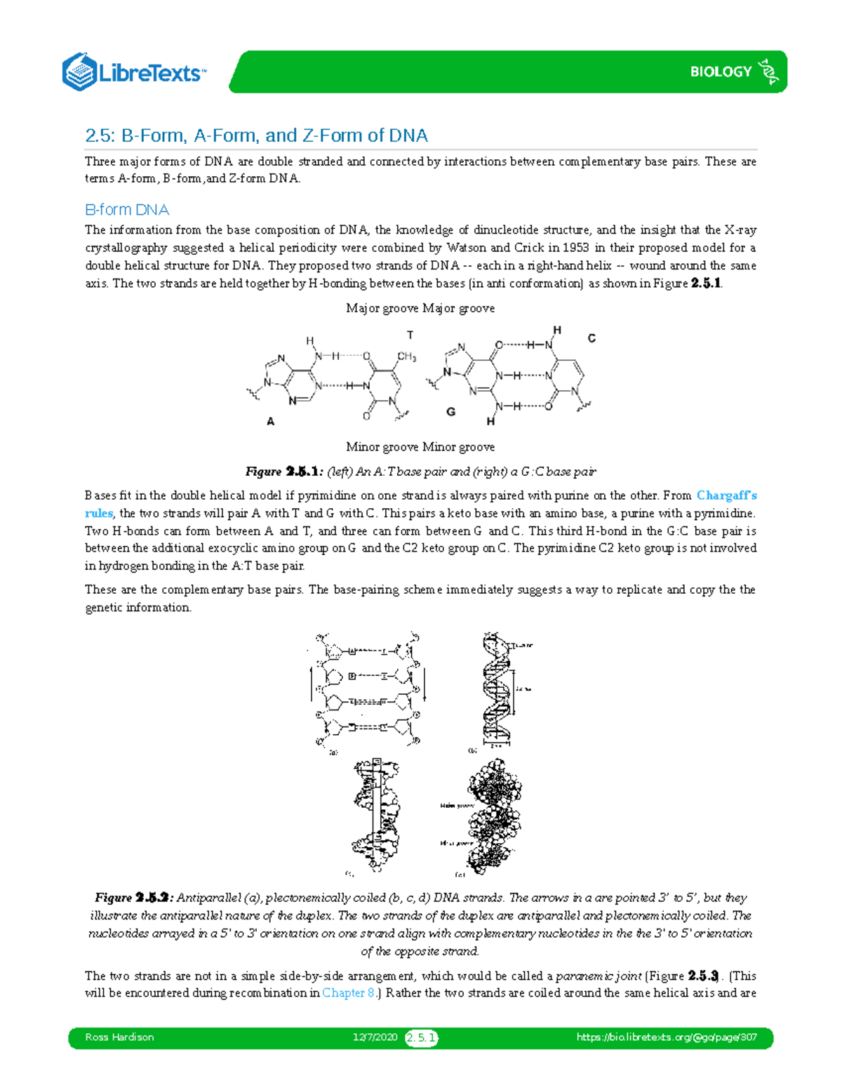 A B and Z forms of DNA- Lecture notes - 2: B-Form, A-Form, and Z-Form ...
