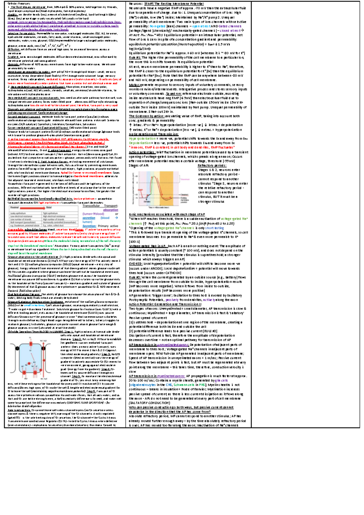 BIO cheat sheet - Cellular Processes: 1. The fluid Mosaic membrane: 8nm ...