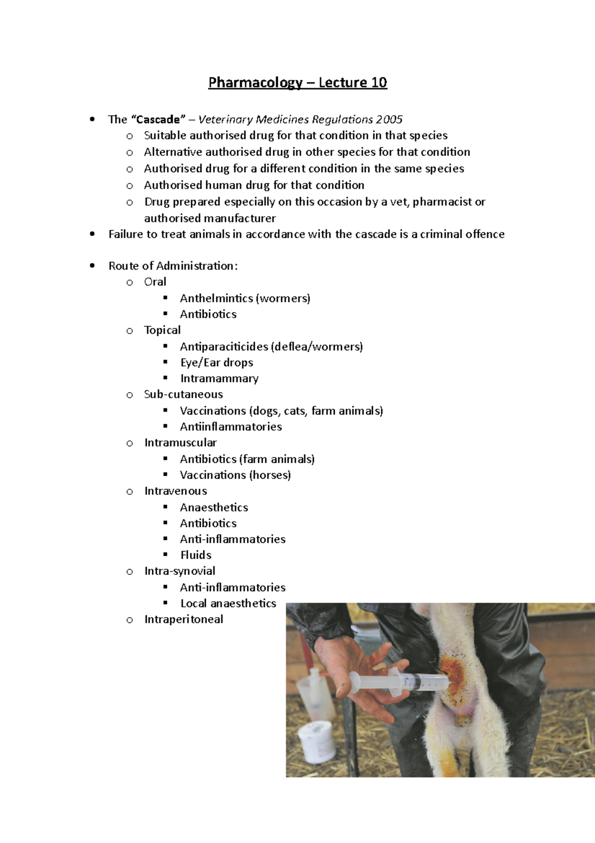 Lecture 10 - Pharmacology – Lecture 10 The “Cascade” – Veterinary ...