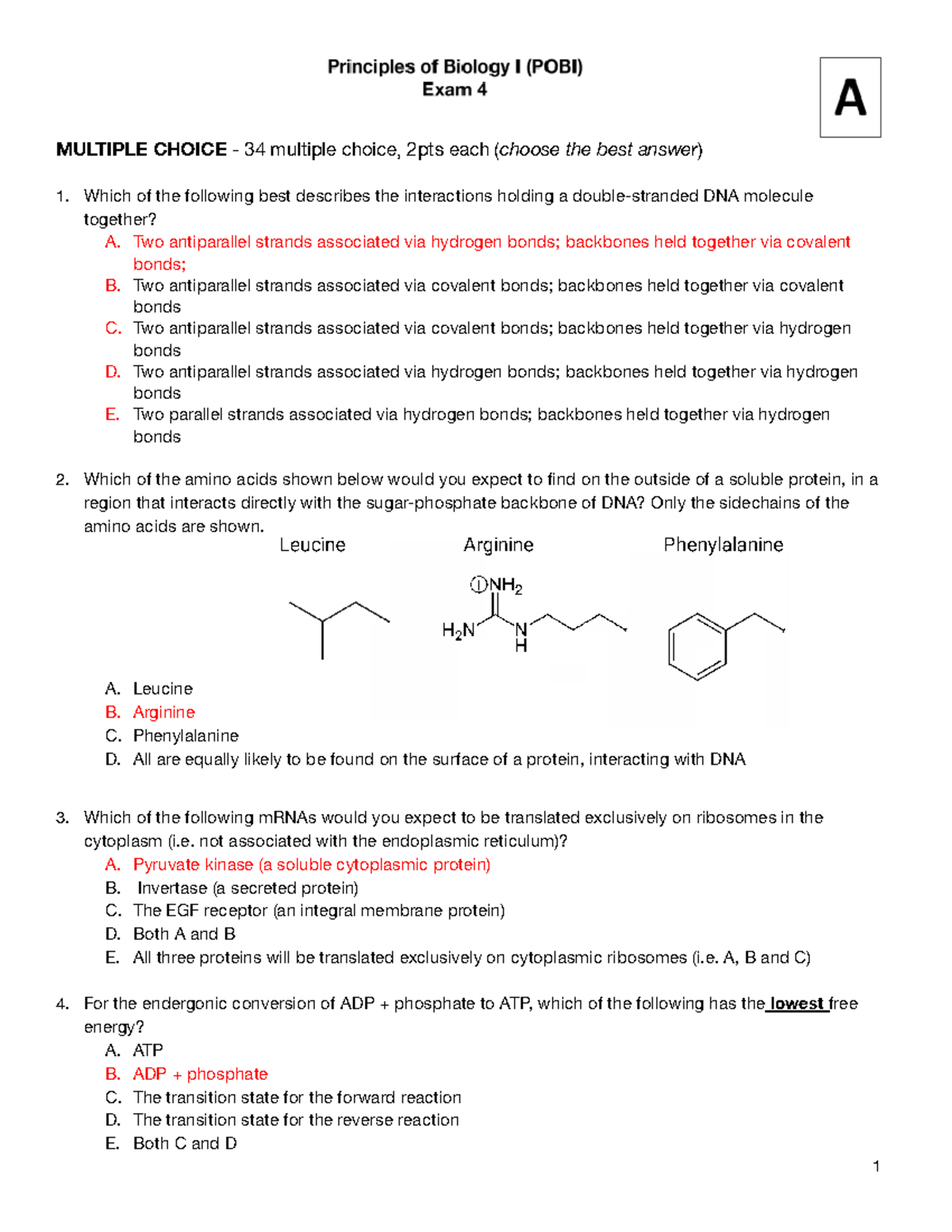 POB Exam 4A - KEY - practice material for the exams/ materials and ...