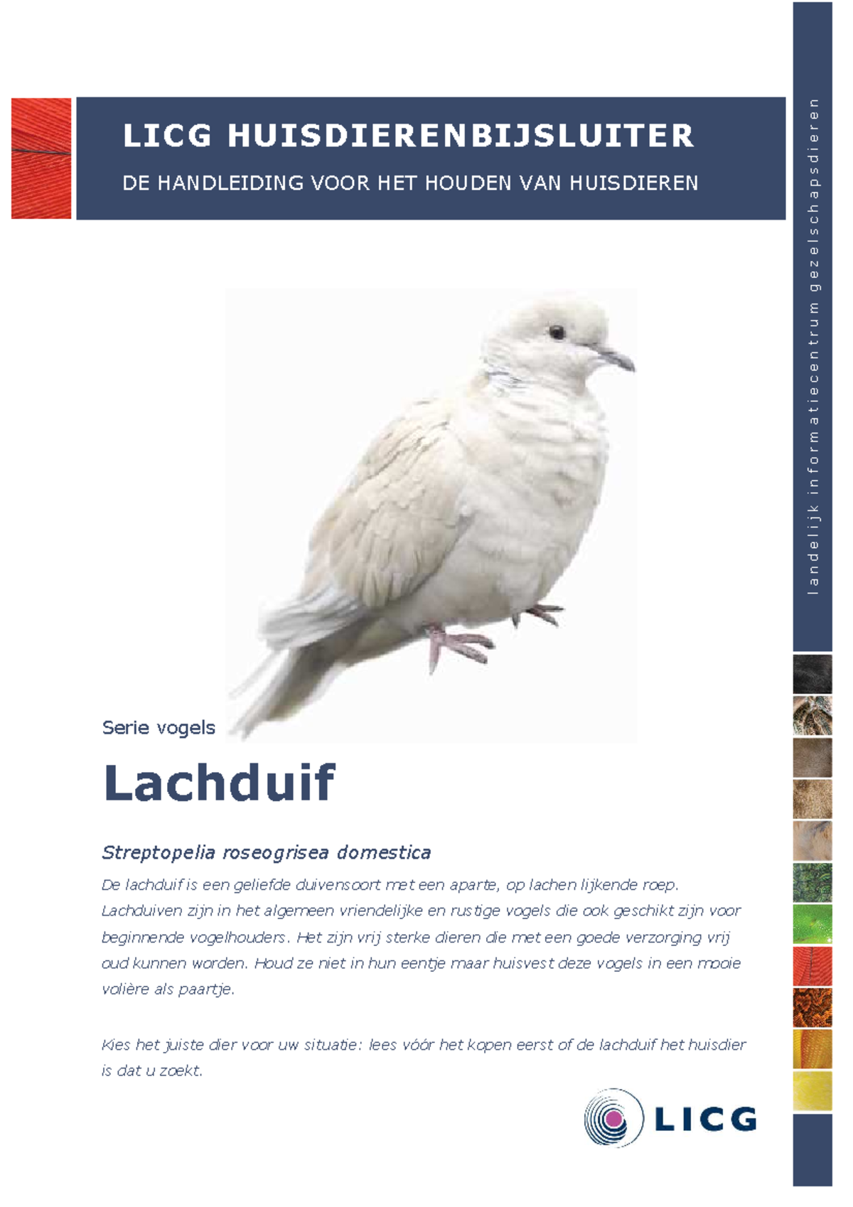 Lachduif bijsluiter 6 01t - l a n d e l i j k i n f o r m a t i e c e n ...