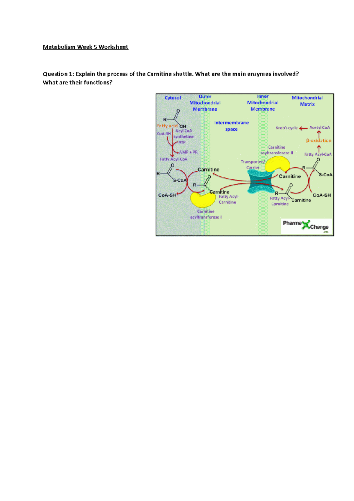 Metabolism Week 5 Worksheet 2 - Metabolism Week 5 Worksheet Question 1 ...
