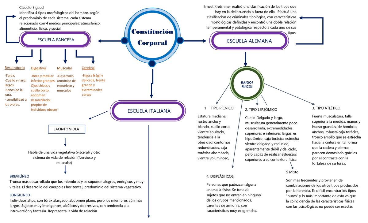 Constitución Corporal - Constitución Corporal Ernest Kretshmer realizó ...