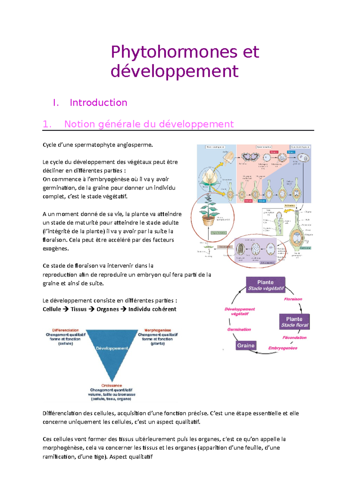 Phytohormones et développement cours complet - Phytohormones et ...