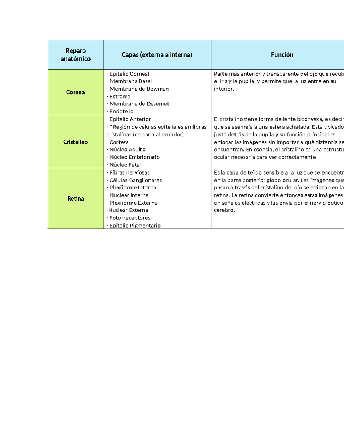 Capas segmentos del ojo - Reparo anatómico Capas (externa a interna ...