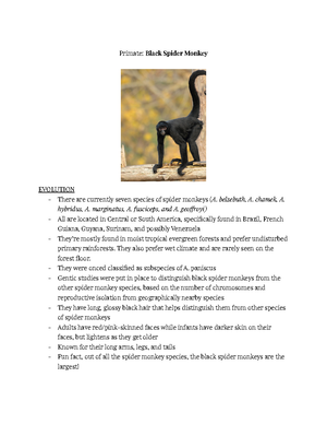 Anthropology: Types Evolution and Human Connection - Studocu