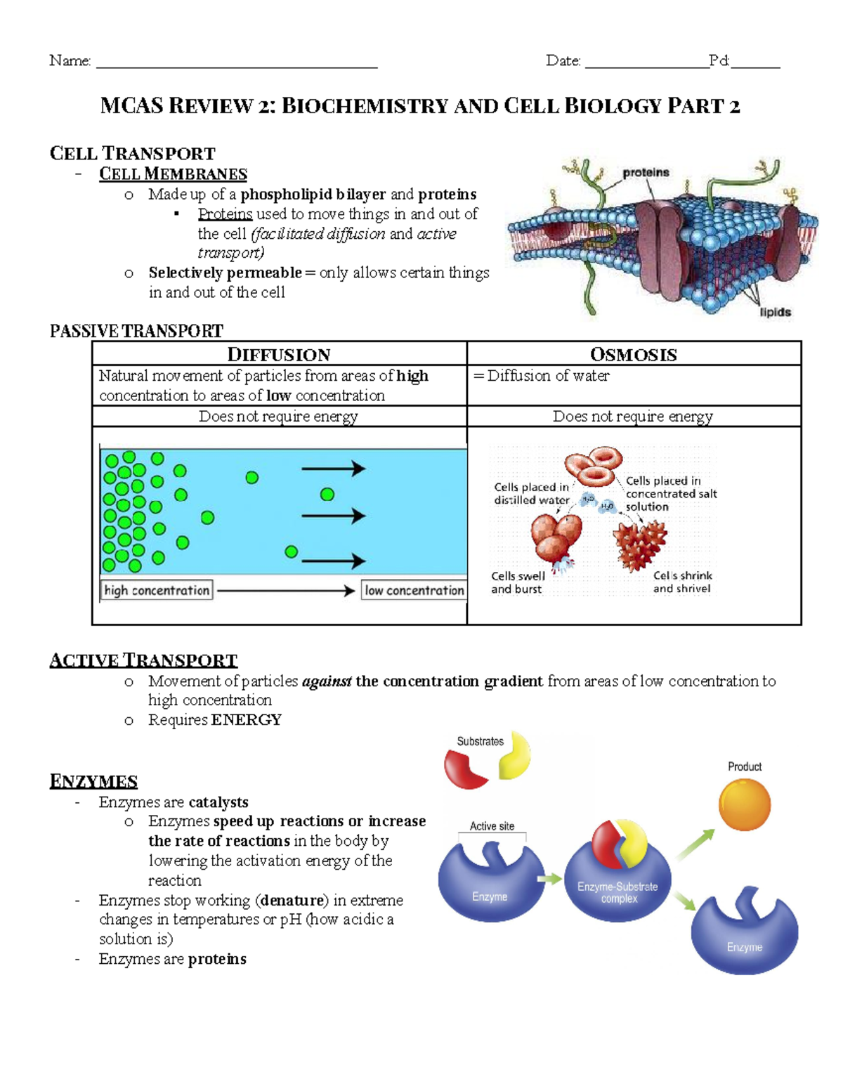 Mcas Review - Biochemistry and Cell Biology - ####### Name