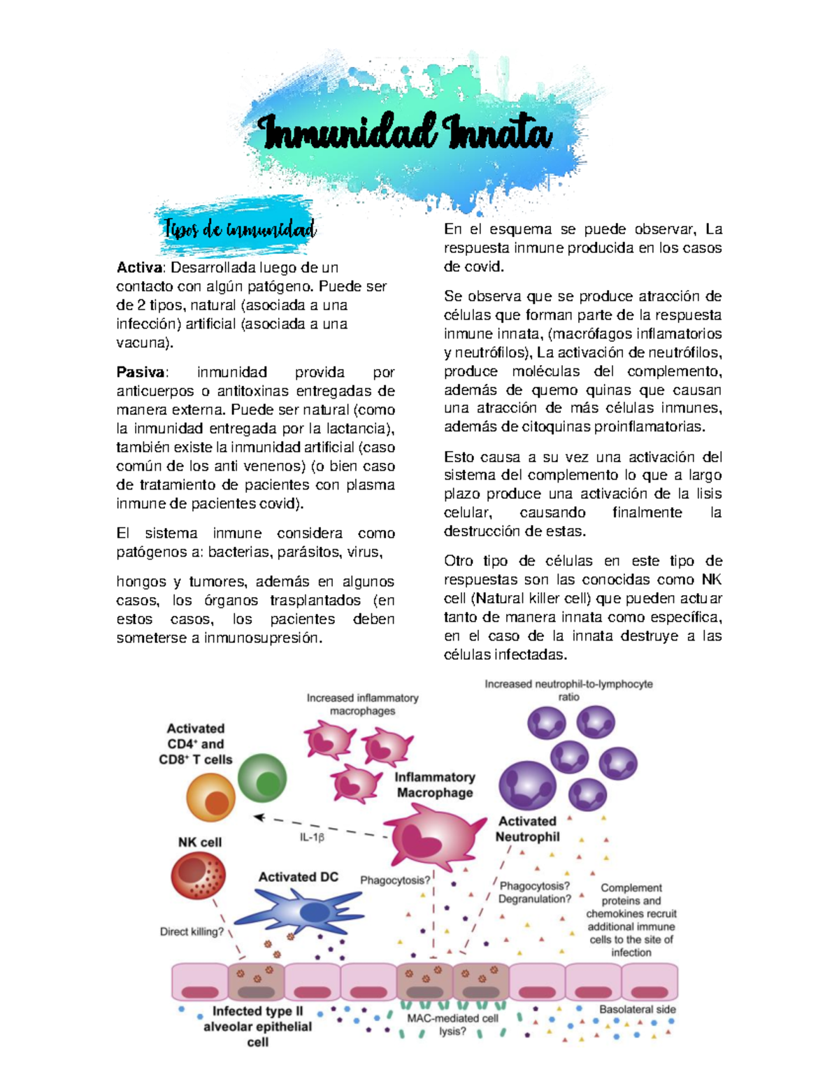 respuesta inmune innata y adquirida inmunología - Activa : Desarrollada luego de un contacto con ...