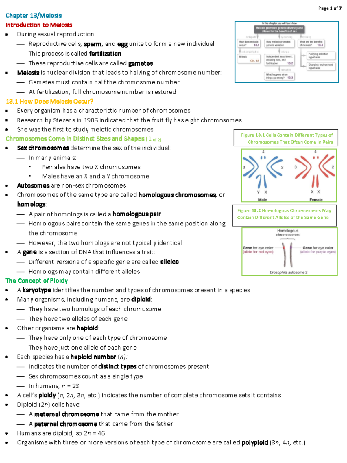 Chapter 13 - Chapter 13 /Meiosis Introduction to Meiosis During sexual ...