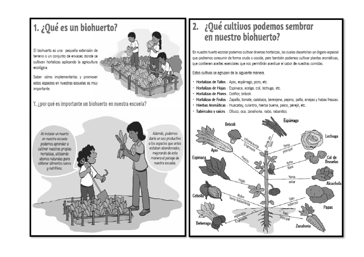 Rec Biohuerto Escolar - SA 02 . EPT 1° - Física (UCV) - Studocu